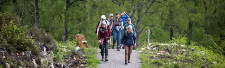 Unleash Your Inner Explorer with Project Expedition Tours!